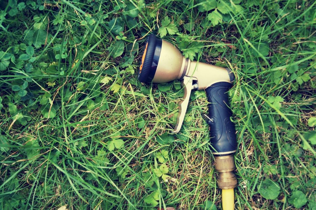 Cómo eliminar malas hierbas sin químicos: el método natural que funciona